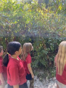 First Field Trip! - 3rd Grade Blog