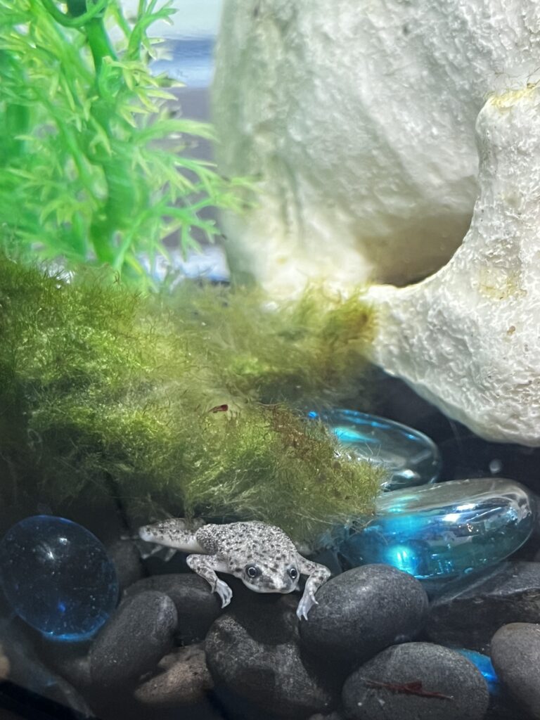 This Week in Fourth Grade 8/18-8/22 - 4th Grade Blog