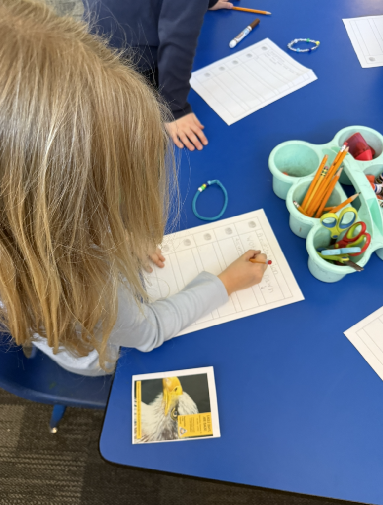 The Water Cycle - 1st Grade Blog