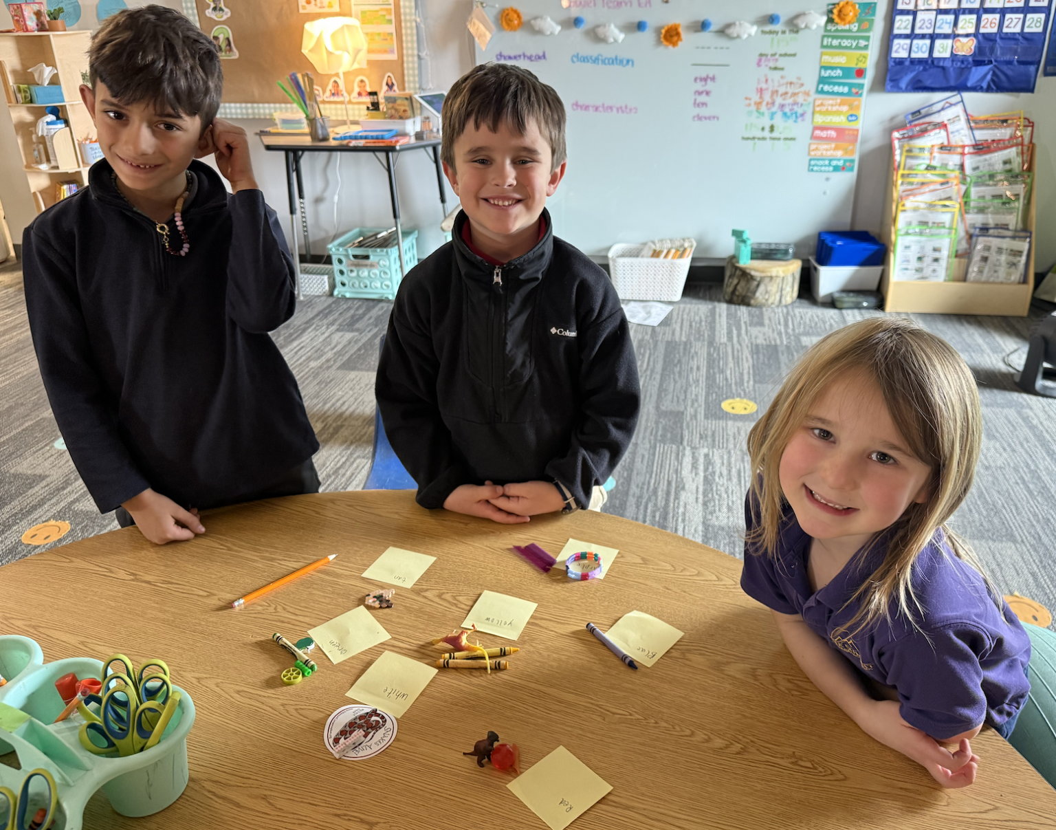 Classification - 1st Grade Blog