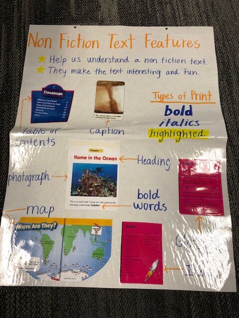Informational Text Features - 2nd Grade Blog
