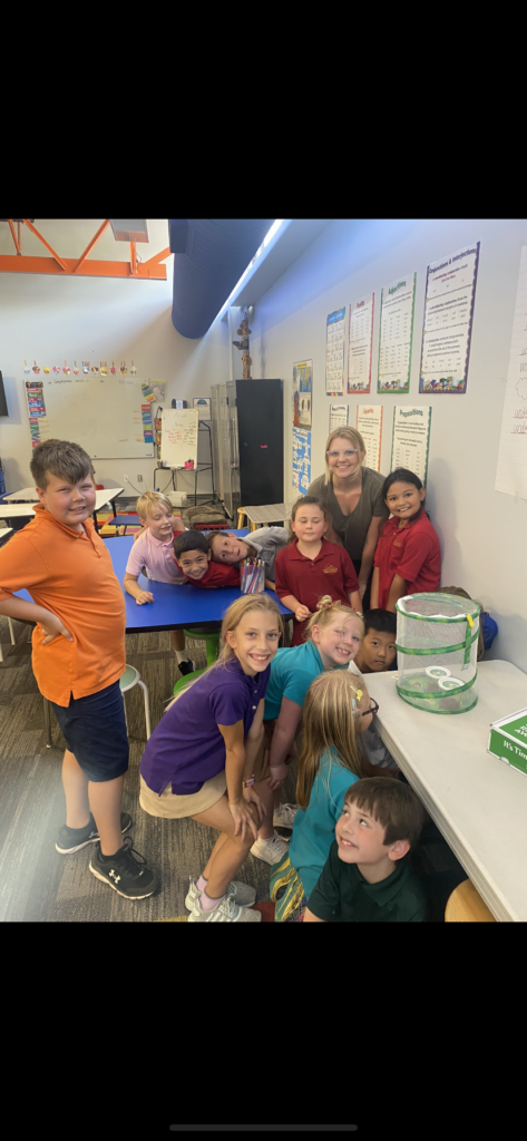 Last Days of School - 3rd Grade Blog
