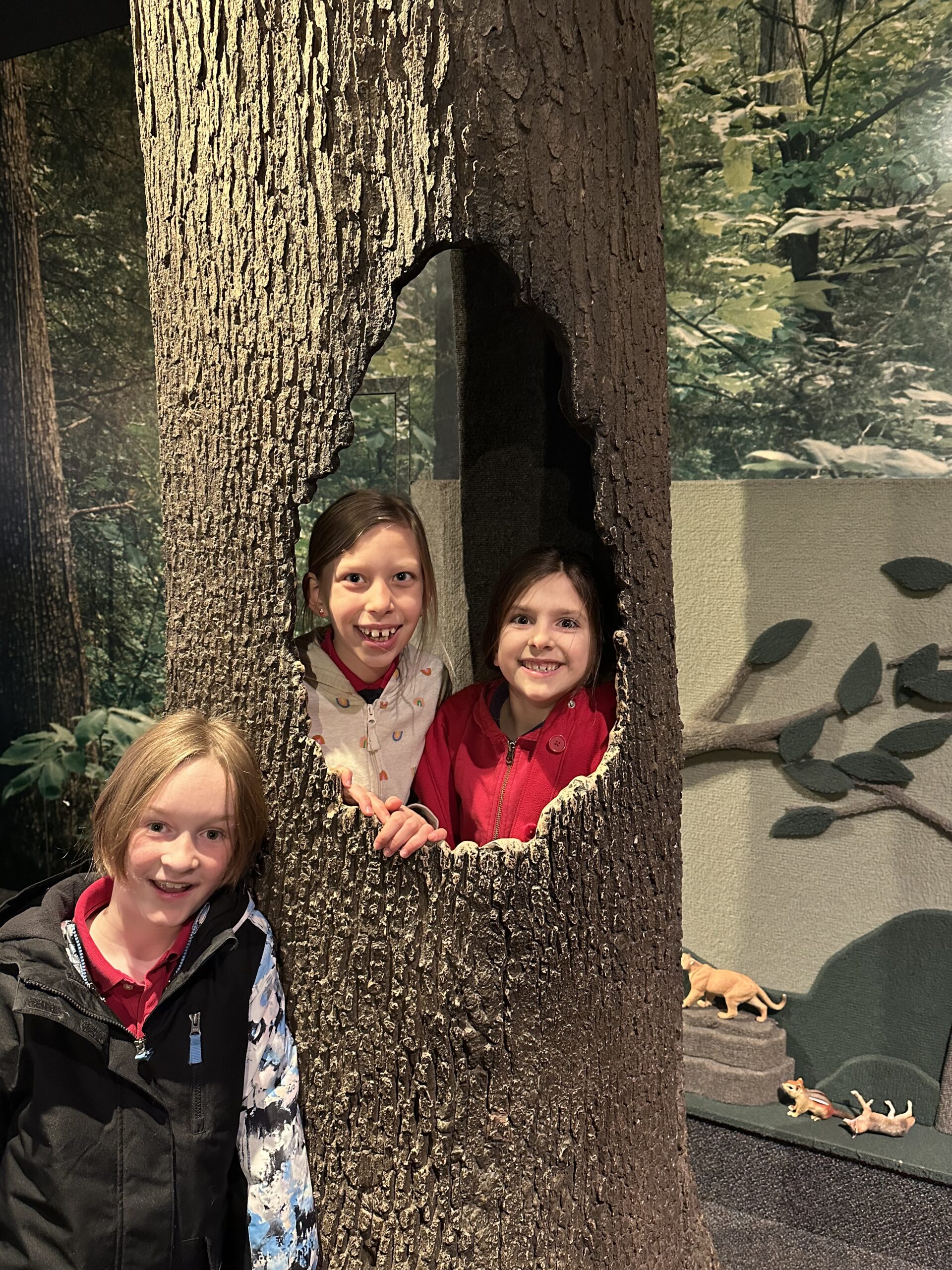 Nature Center Field Trip! - 3rd Grade Blog