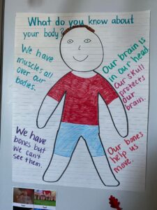 The Human Body! - Early Learners Blue