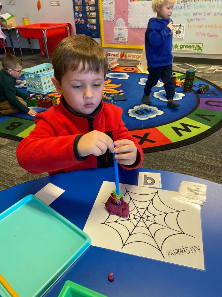 All about SPIDERS! - Early Learners Blue