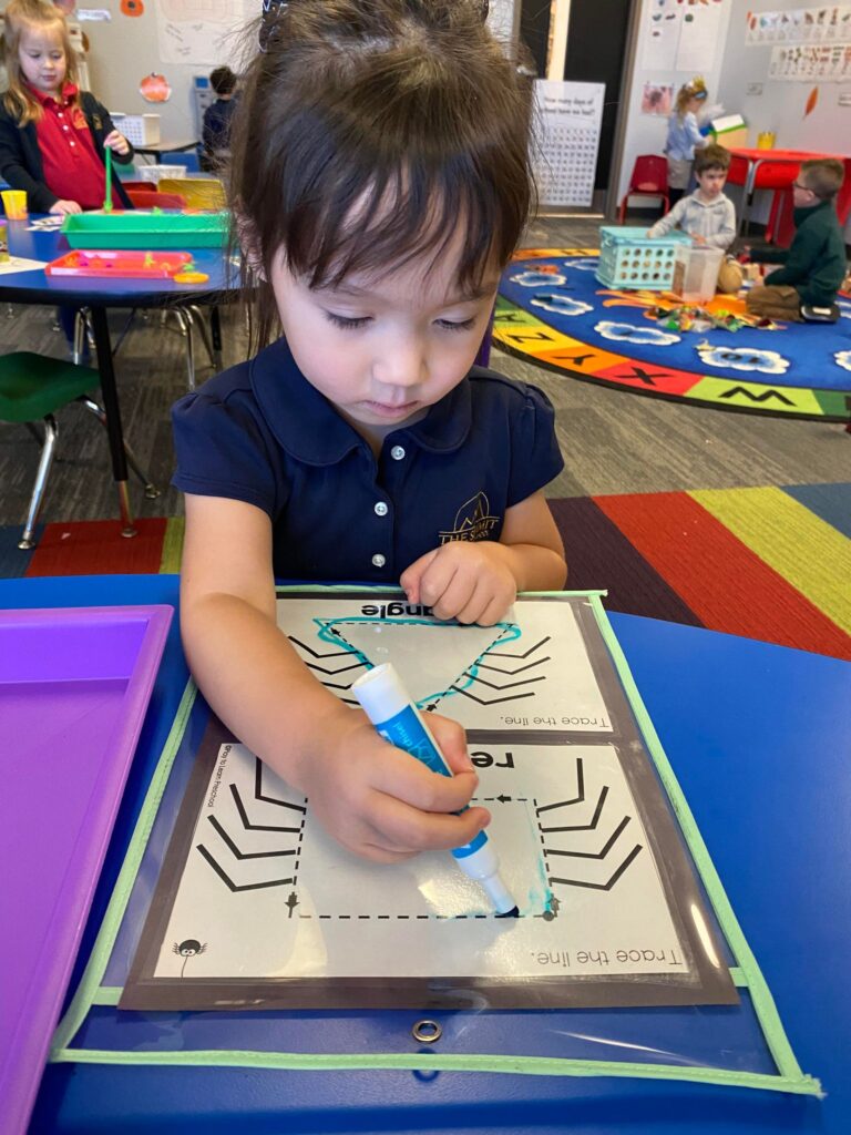 All about SPIDERS! - Early Learners Blue