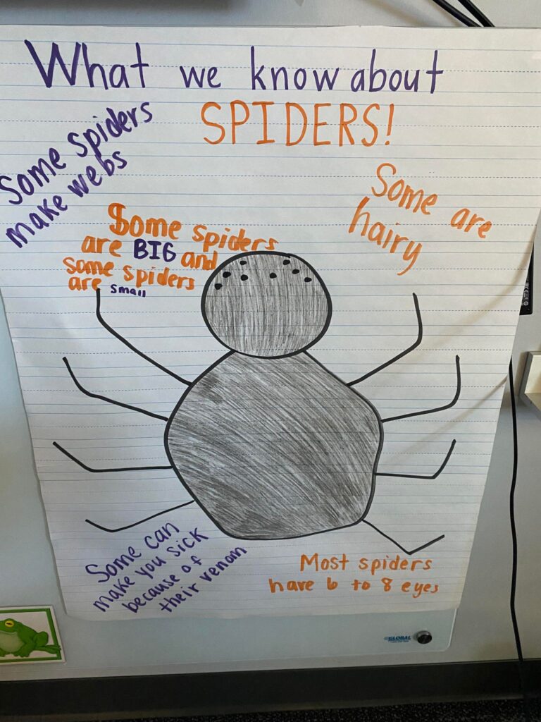 All about SPIDERS! - Early Learners Blue