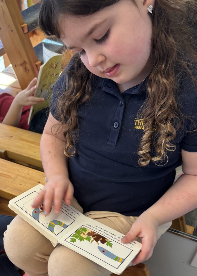 A Book is a Dream That You Hold in Your Hand - Early Learners Yellow